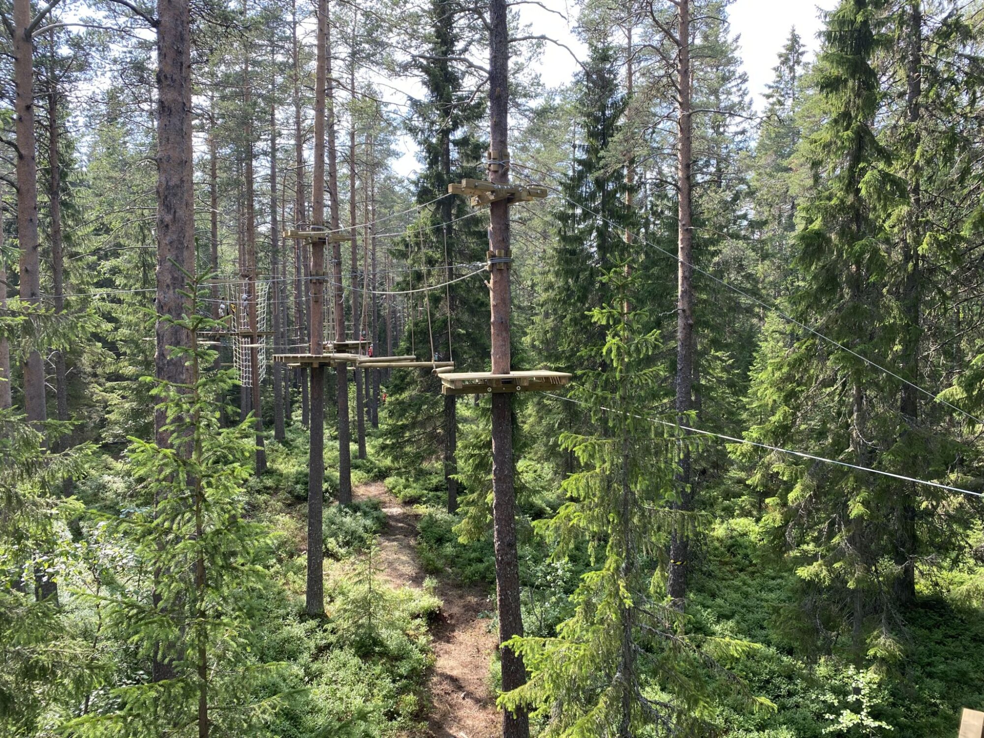 Zip Adventure Park i Umeå - nu har vi testat Umeås nya äventyrspark!